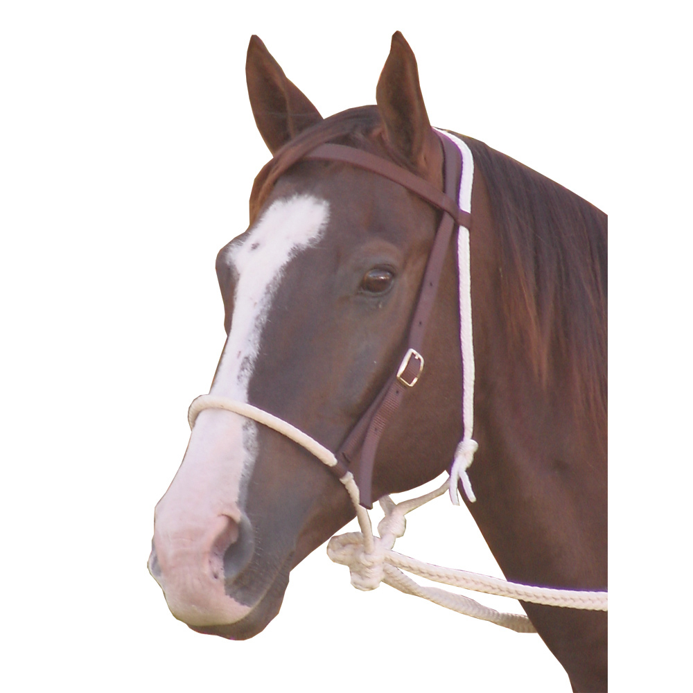 Breaking Hackamore Complete – Oxbow Tack